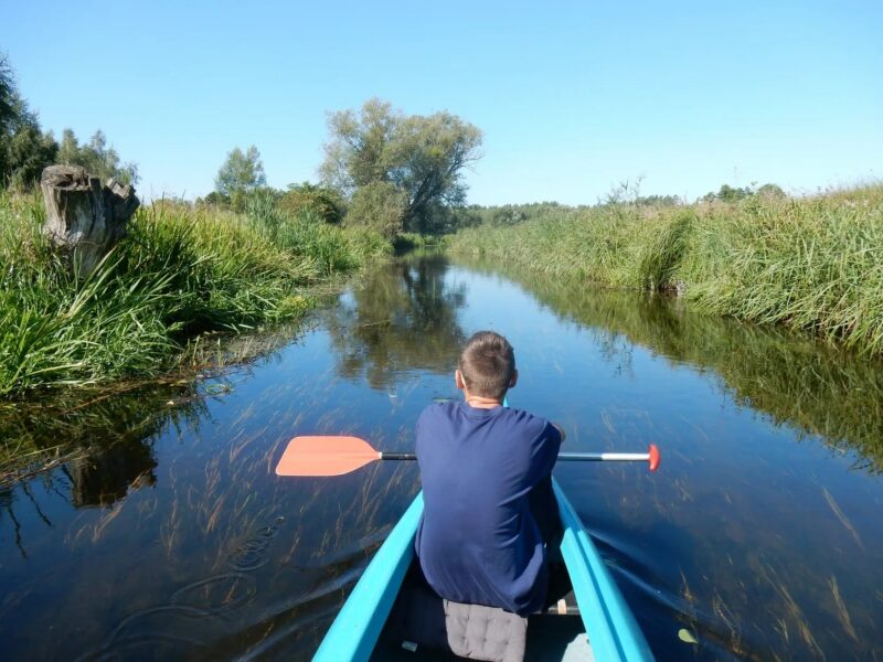 Agroturystyka | 15 SIELSKICH miejsc w całej Polsce! 🌿🐮