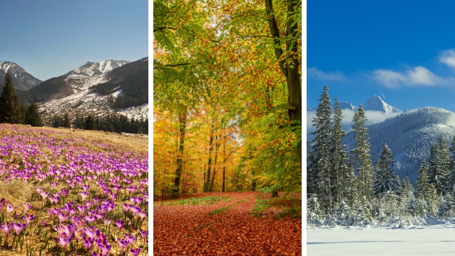 Best Time To Visit Poland 🇵🇱 | Seasonal Highlights and Attractions