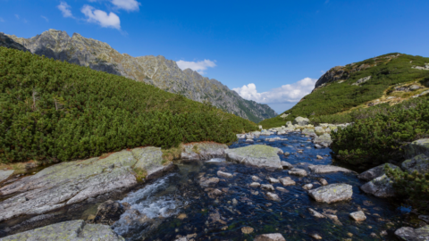 Dolina Roztoki 🏞️ | Szlaki, wodospady i piękne widoki w Tatrach